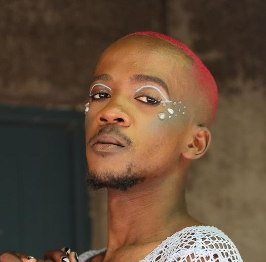 SaneleSings Profile and Discography | African Music Library