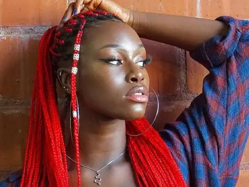 Diarra Sylla Profile and Discography | African Music Library