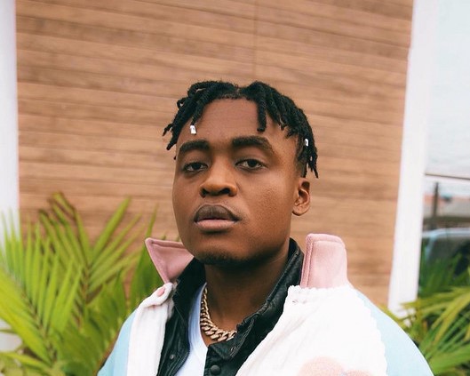 Cheque Profile and Discography | African Music Library